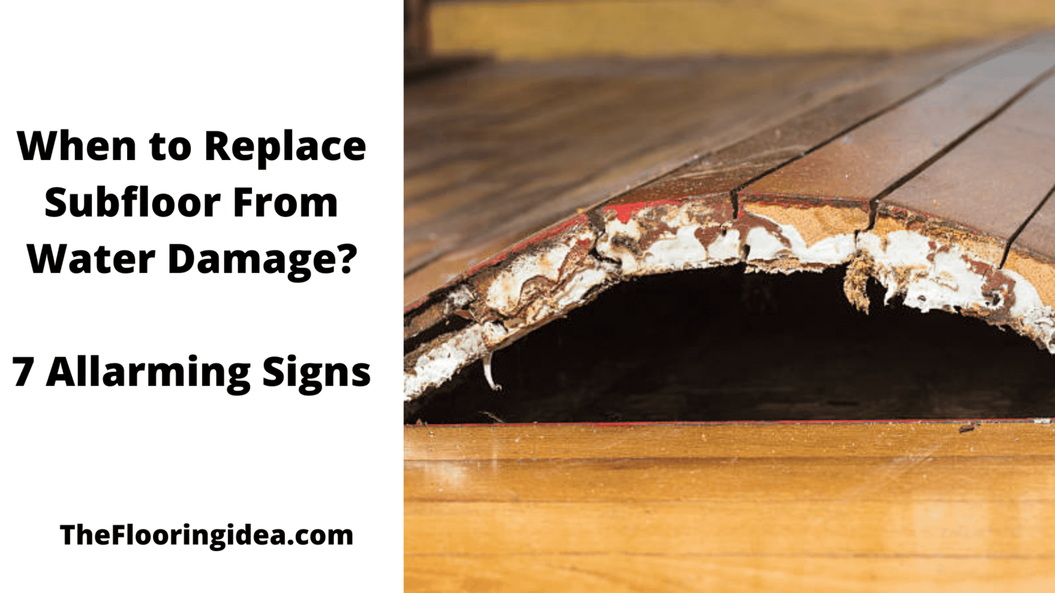 When to Replace Subfloor from Water Damage: 9 Alarming Signs ...