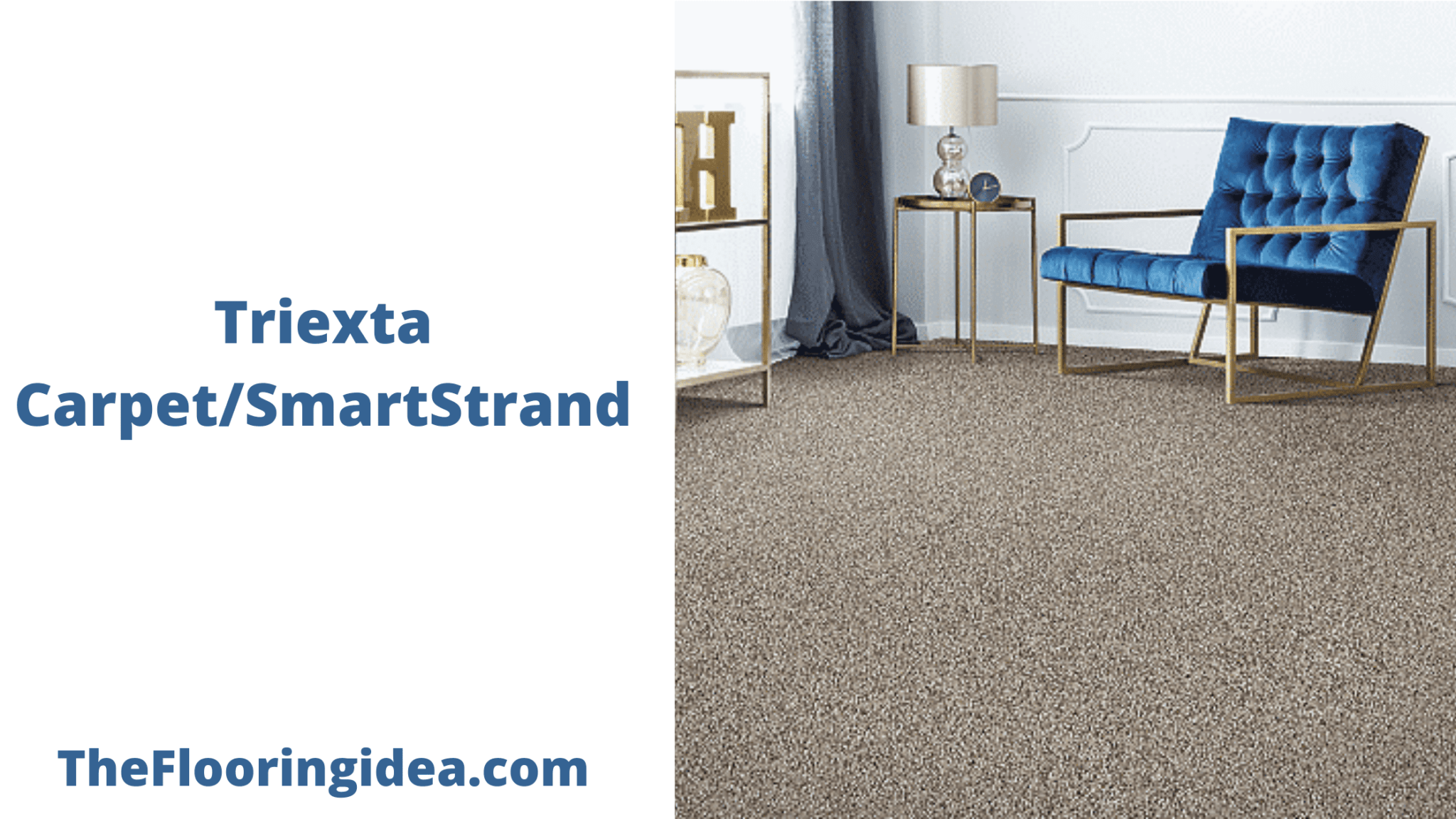 Triexta Carpet: An Overview of the Perfect Flooring Option ...