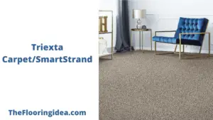 Triexta Carpet: An Overview of the Perfect Flooring Option ...